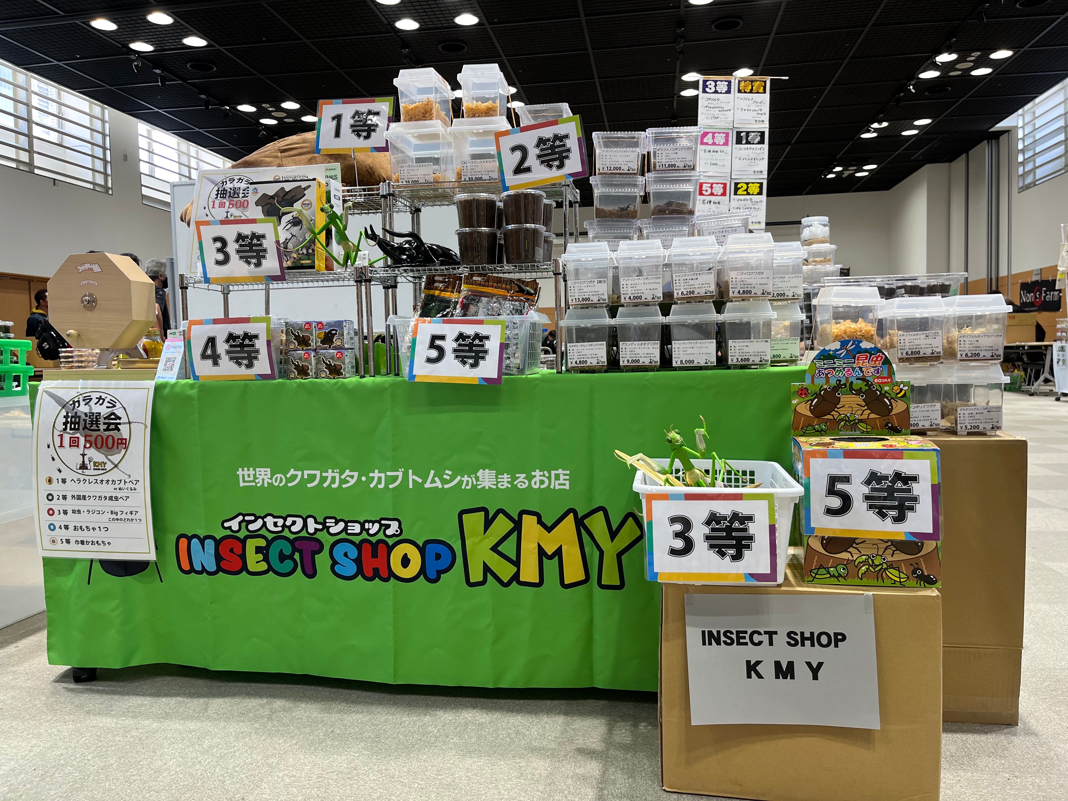 新着更新しました – INSECT SHOP KMY